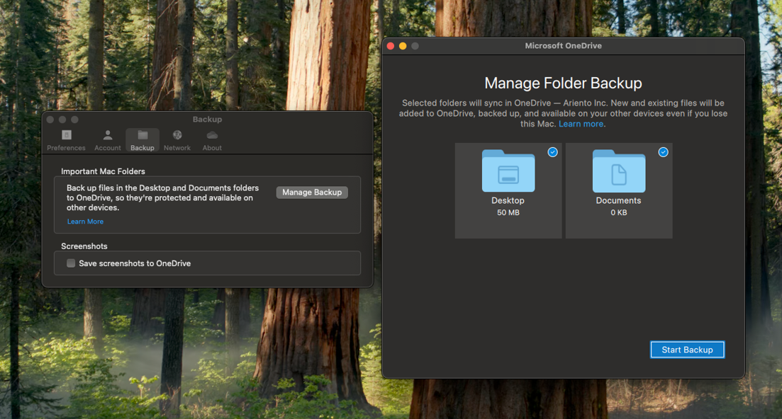 Manually enable Desktop and Documents backup using the OneDrive Sync ...